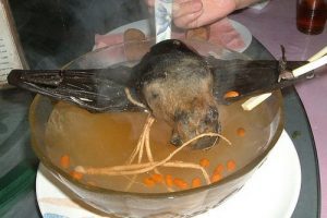 The 10 Most Disgusting Foods in the World - Delicious Food - Recipes ...